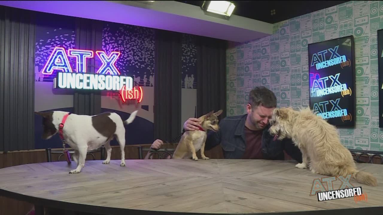 NBC's Brent Morin from Undateable Live gets interviewed by dogs? - YouTube