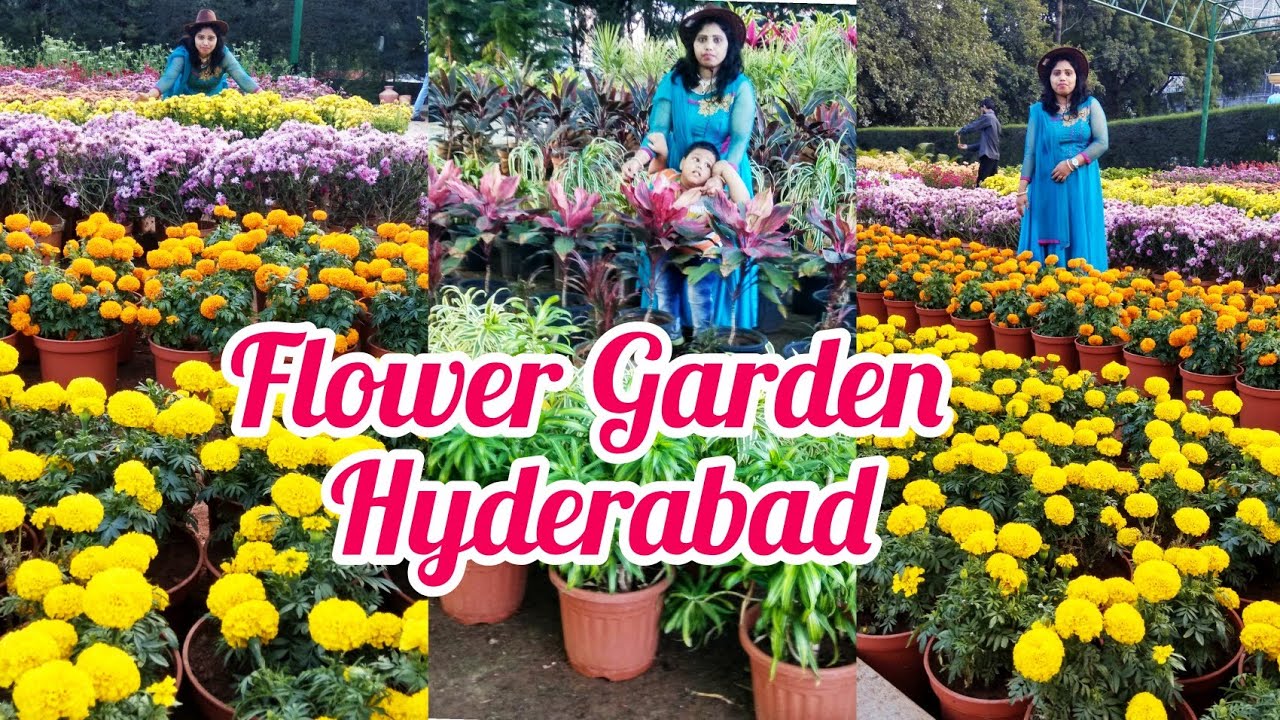 Flower Garden Hyderbad. Aryan visit Hyderabad flower Garden .enjoy lot ...