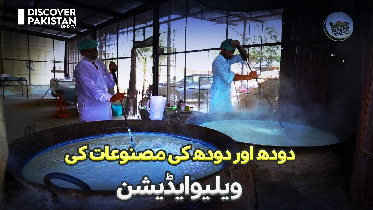 Value Addition of Milk and Milk Products | Discover Pakistan - YouTube
