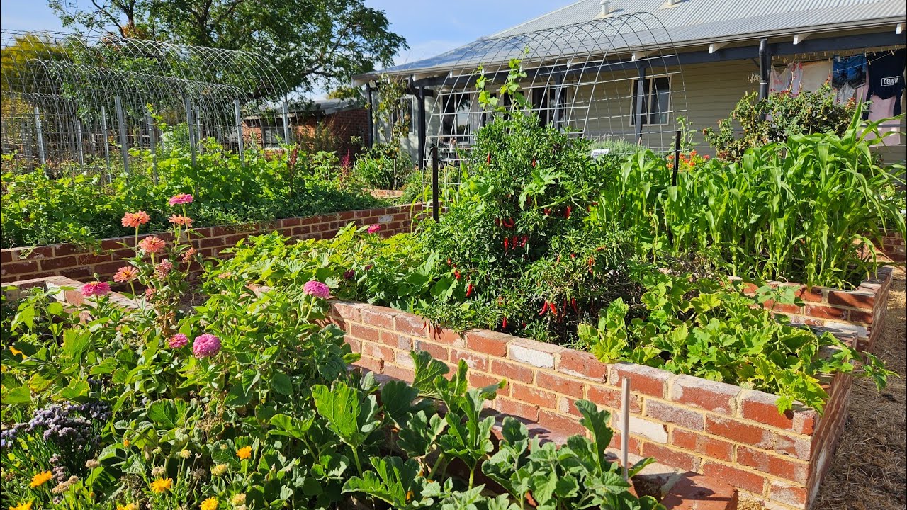 February 2024 - Full Garden Tour, Bursting to life in the Australian ...