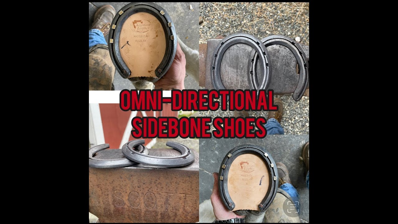 Horse with SIDEBONE- Here’s how I shod him with HANDMADE shoes- Hoof ...