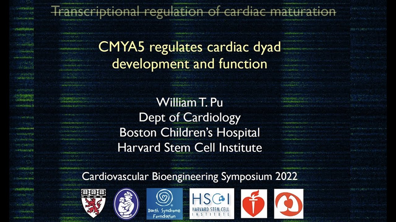 CMYA5 regulates cardiac dyad development and function —William Pu - YouTube
