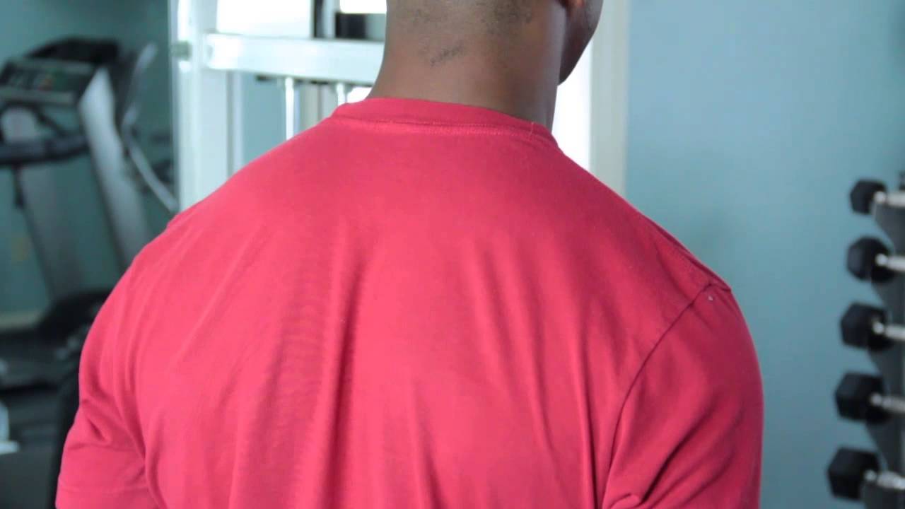 Occupational Exercises for the Upper Trapezius : Fitness Body ...