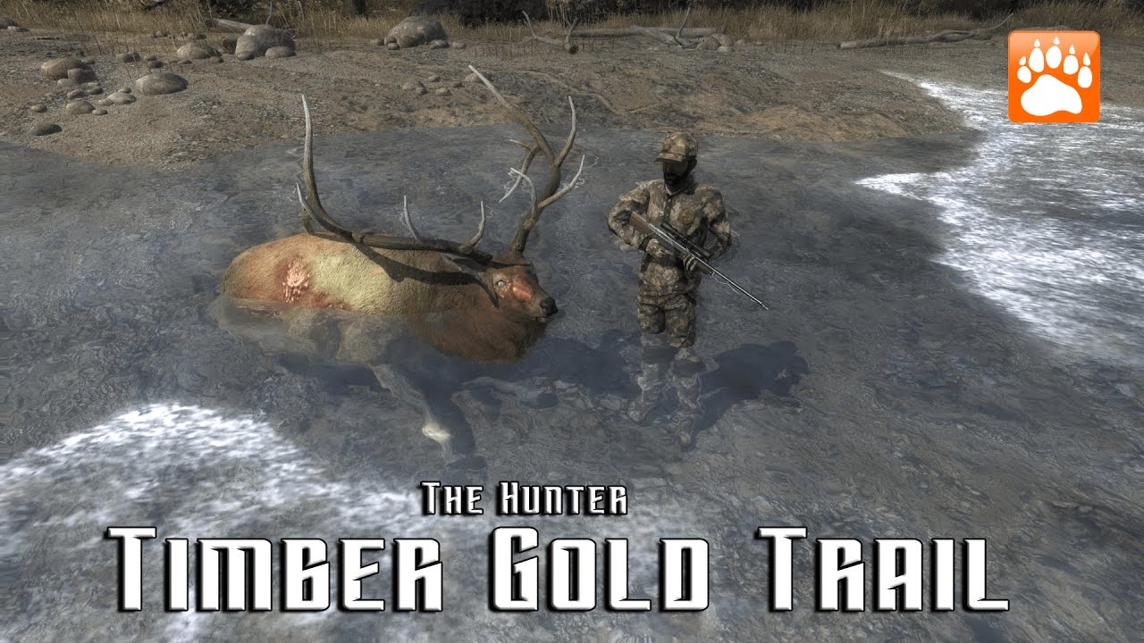 theHunter Timber Gold Trail Hunting "New Reserve" - YouTube