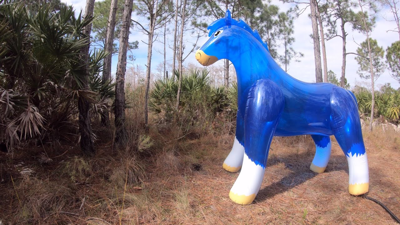 Life-Size Inflatable Ride-On Transparent Blue Horse from Horseplay Toys ...