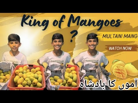 Unveiling Multani Mangoes: King of Mangoes - YouTube