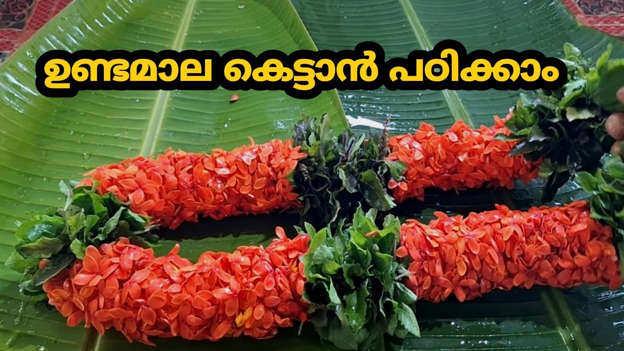 ഉണ്ടമാല കെട്ടുന്ന വിധം padma online #undamala guruvayoor #pirimala ...