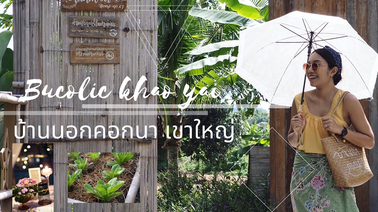 Bucolic Khao yai บ้านนอกคอกนาเขาใหญ่ #bucolickhaoyai#บ้านนอกคอกนาเขา ...