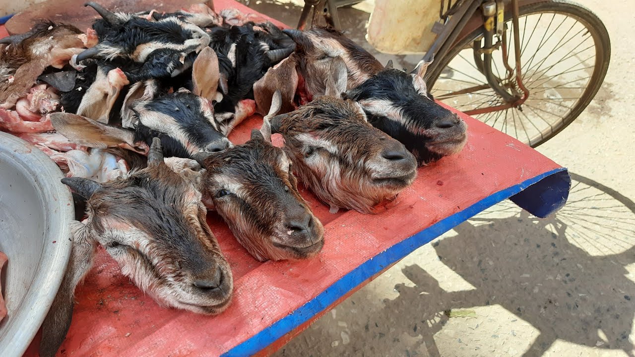 BD Goat head cutting skill - YouTube