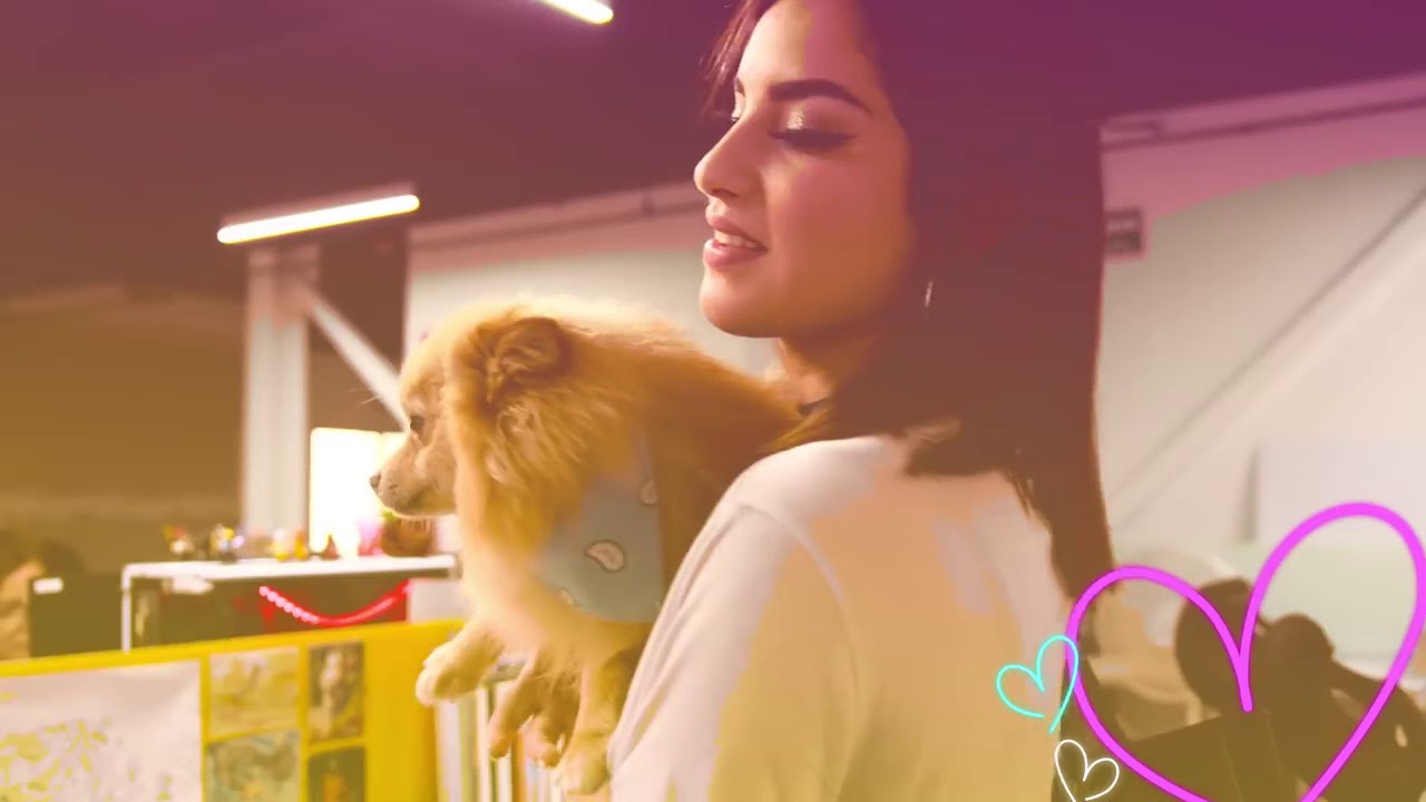 Hola soy Juki Dog 🐶 bienvenidos a mi canal - YouTube