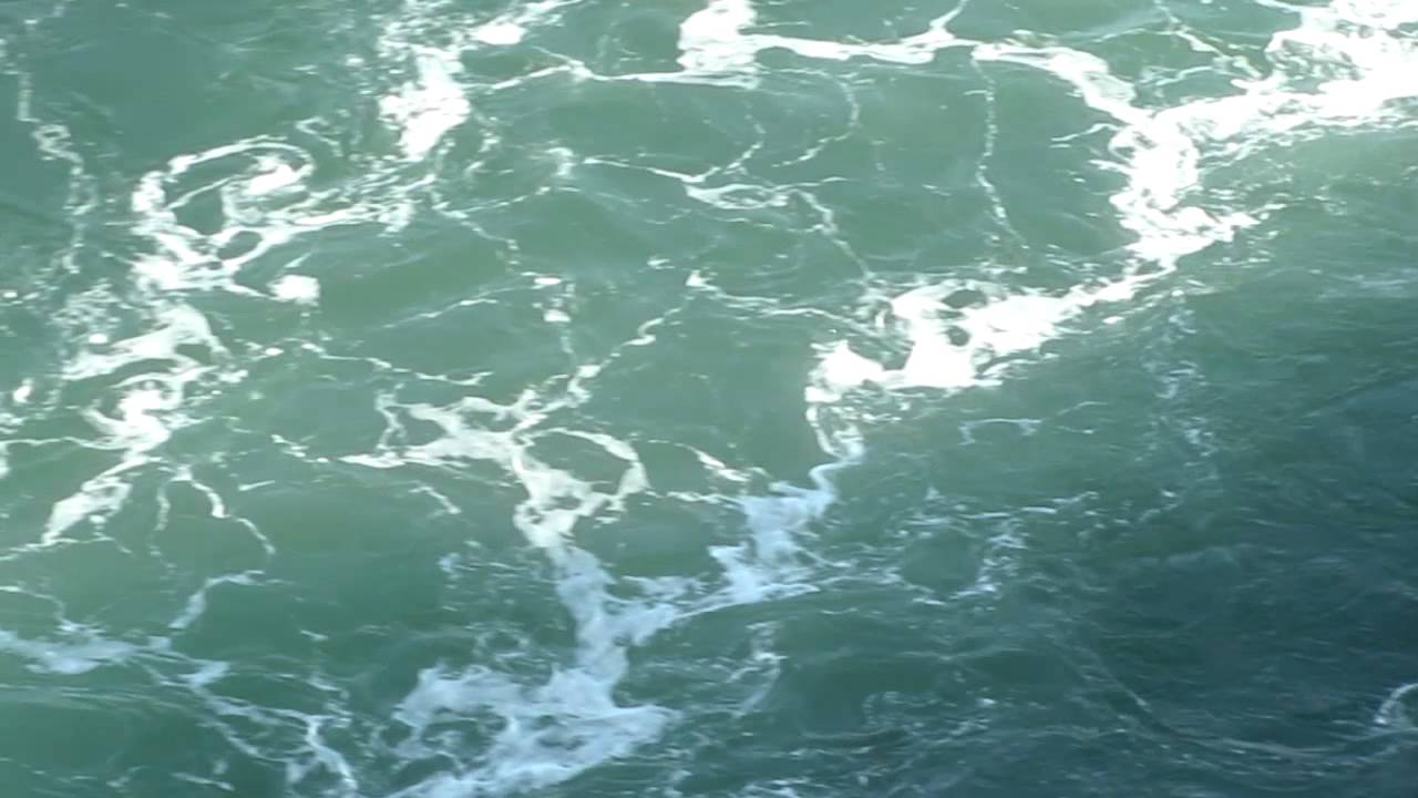 Star Princess View from C752 Balcony of the Wake, Jelly Fish, and Pilot ...