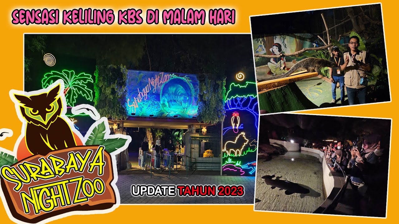 Surabaya Night Zoo I Sensasi Keliling Kebun Binatang Surabaya di Malam Hari I Update Tahun 2023 ...