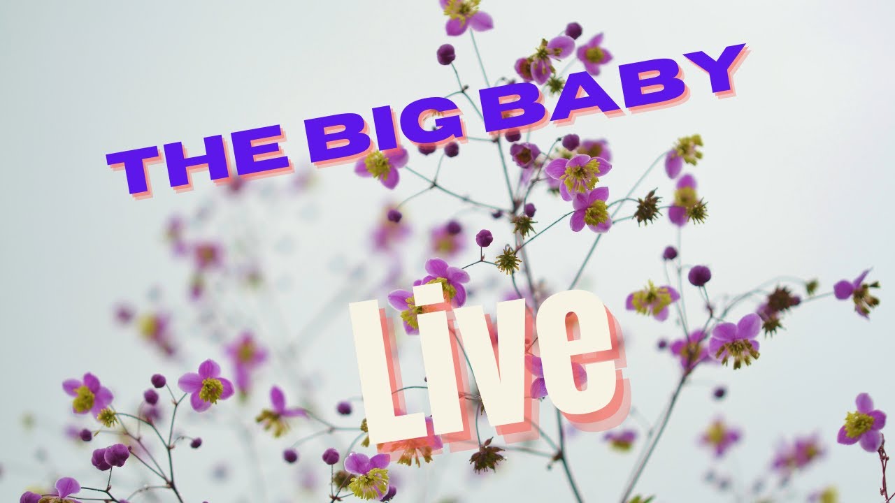 The Big Baby (Gacha Life Mini Movie) Live - YouTube