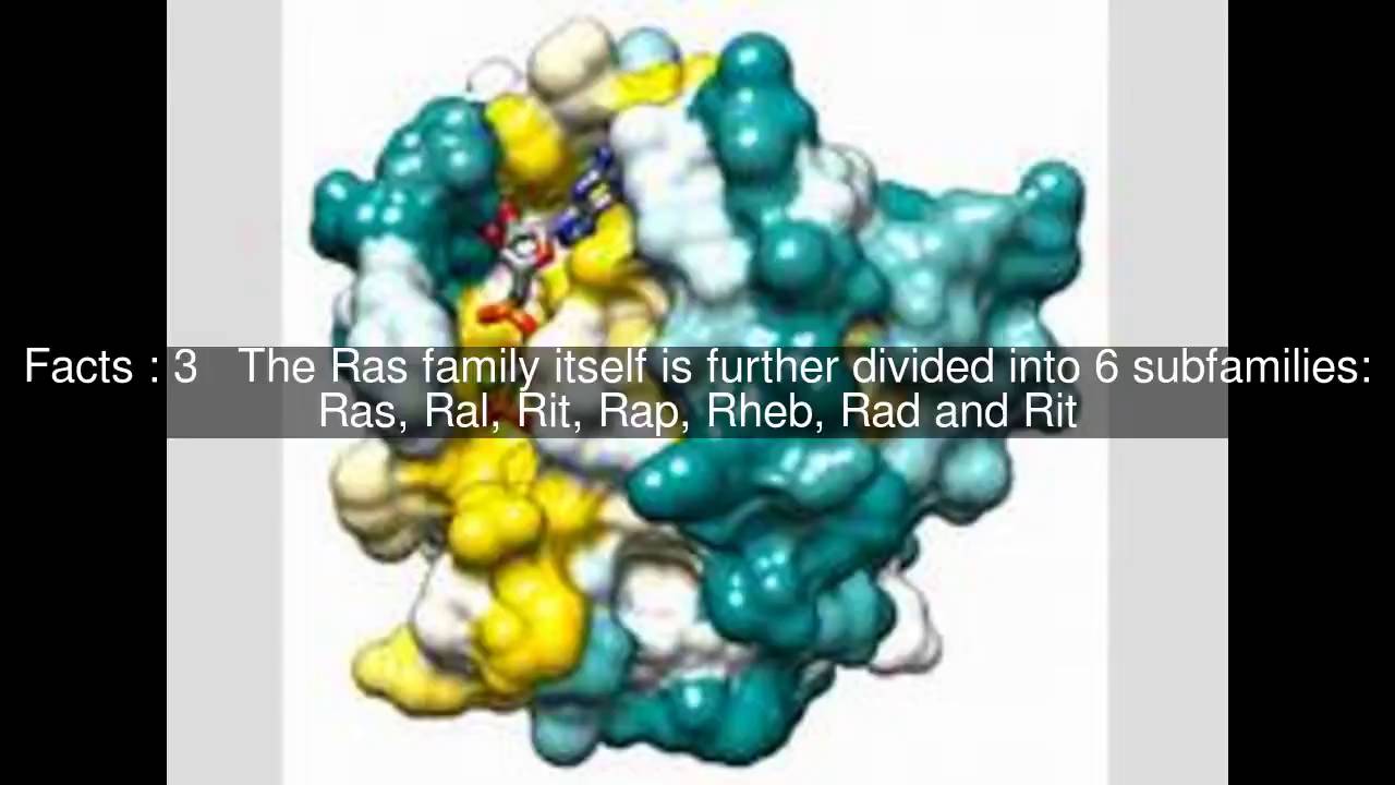 Ras superfamily Top #6 Facts - YouTube