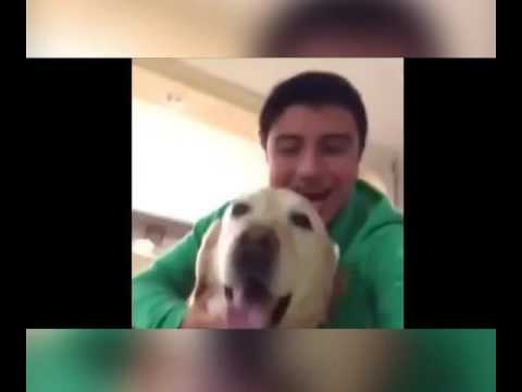 LOS MEJORES VINES 2016 MIKE AVILA - YouTube