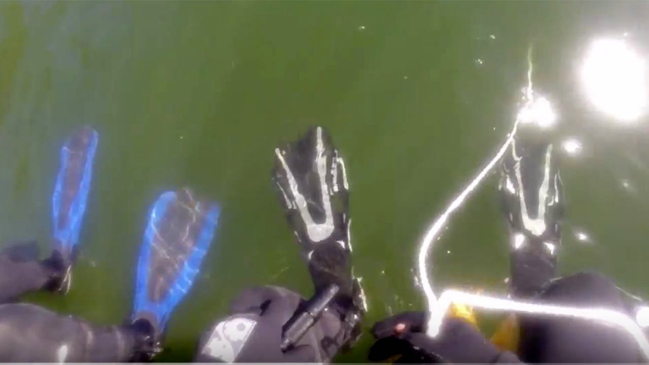 Winter shark tooth dive from the shore - YouTube