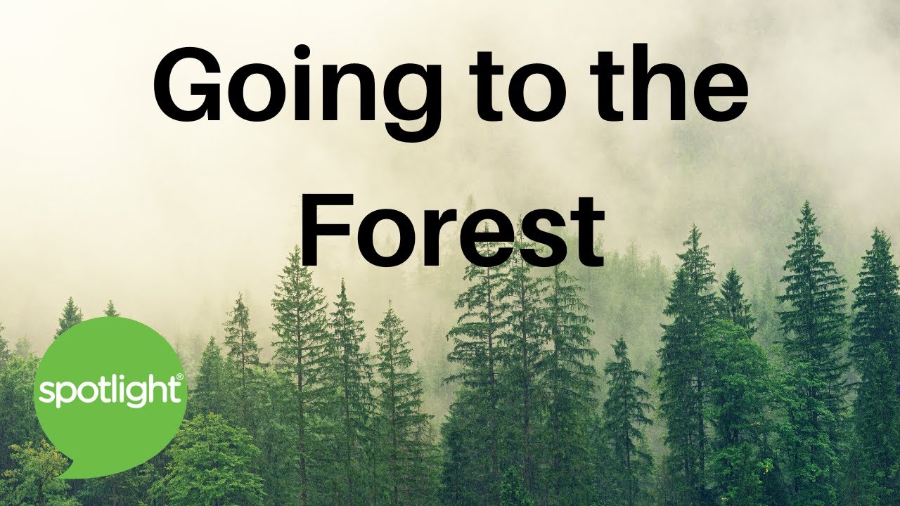 Going to the Forest | practice English with Spotlight - YouTube