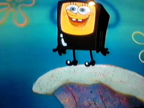 Fly sponge fly - YouTube