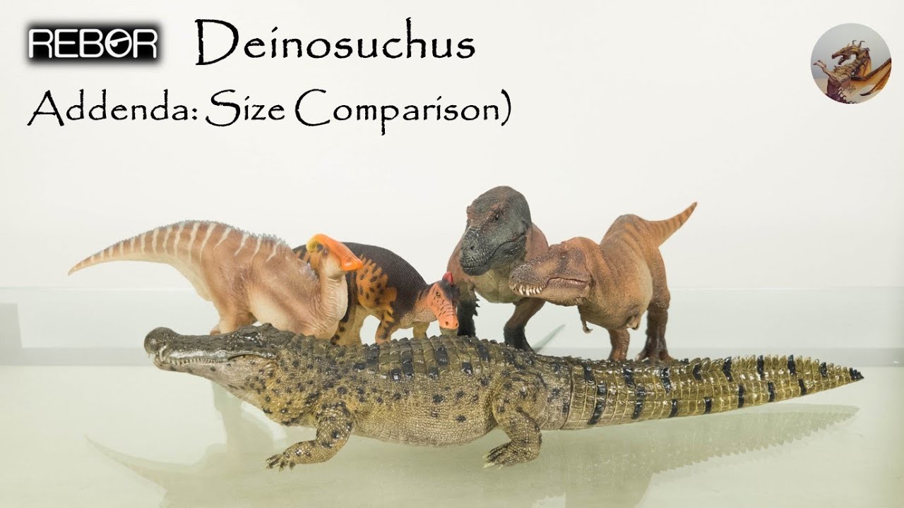 Deinosuchus Size