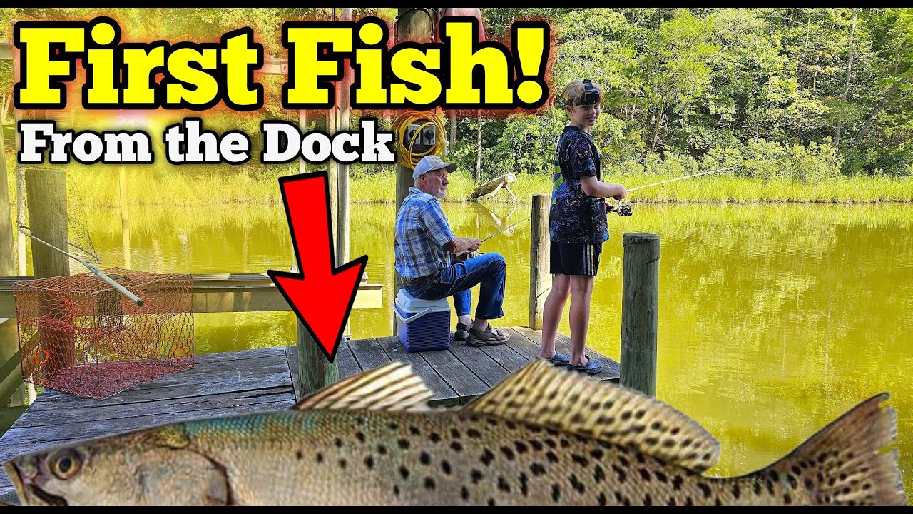 FIRST FISH Caught Dock Fishing the Catch & Cook Cabin! - YouTube