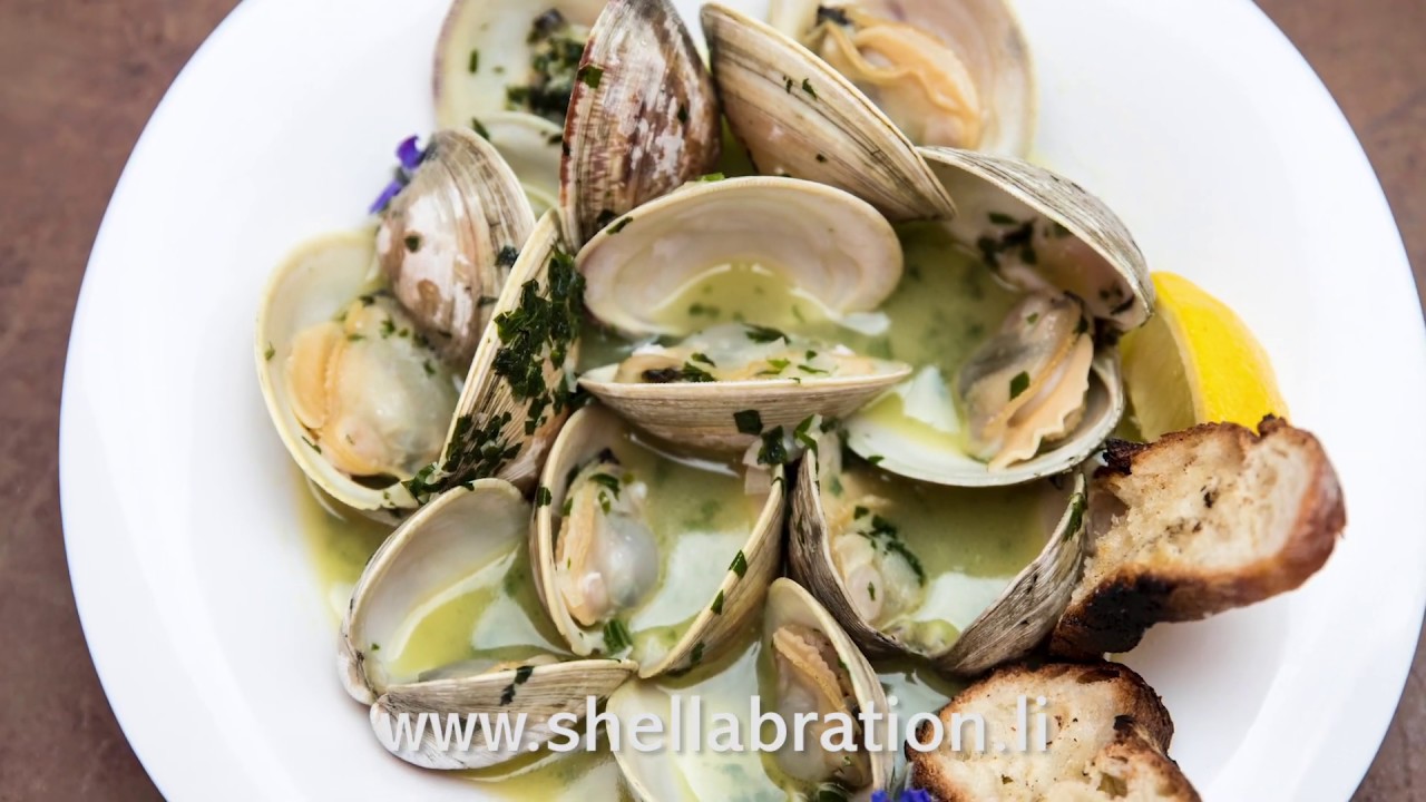 Shellabration Marine Minute Monday - YouTube