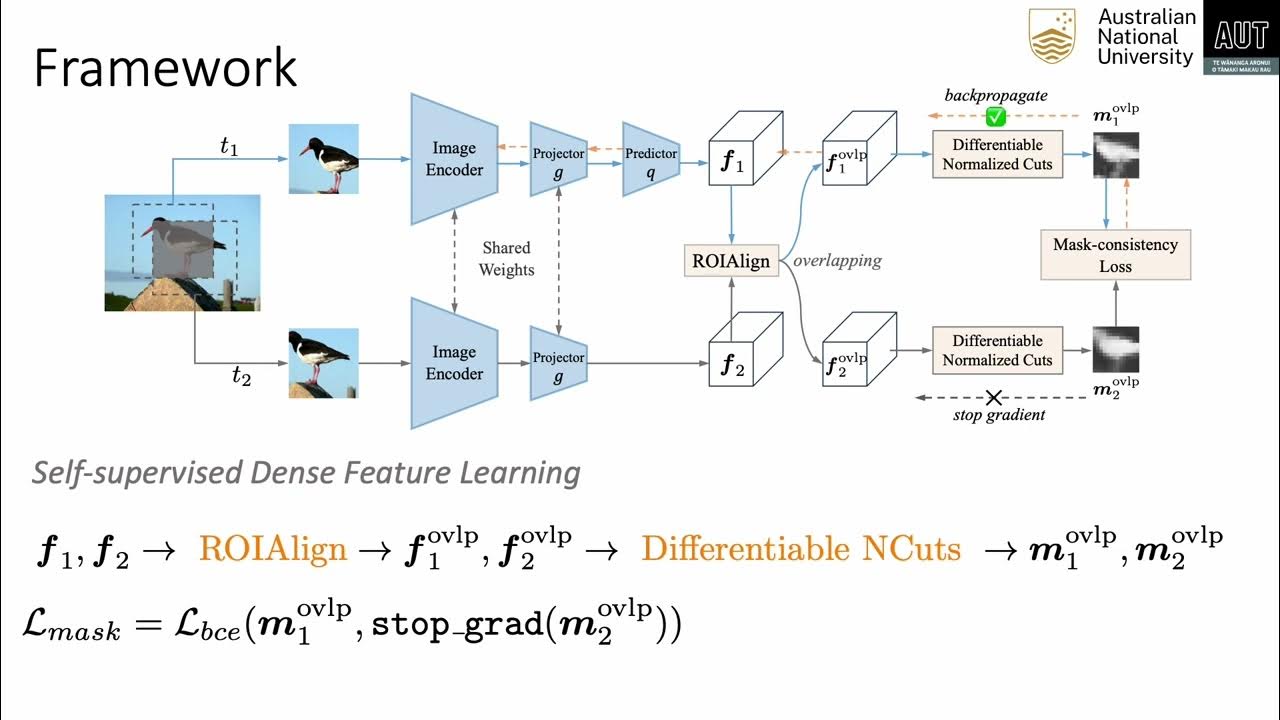 ECCV paper: Unsupervised Dense Prediction using Differentiable Normalized Cuts - YouTube