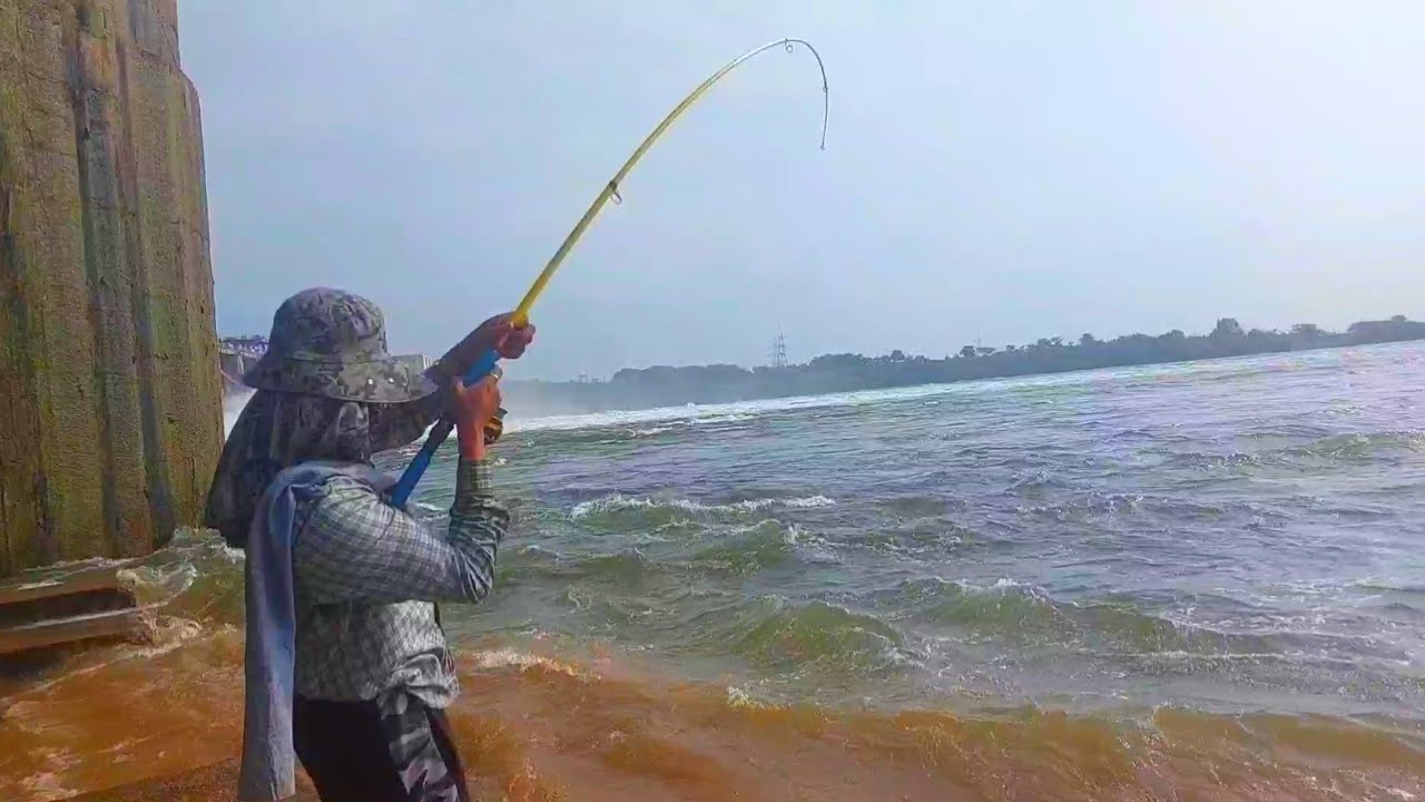 Flowing water fishing | Hook Techniques | Wallago Attu catfish Hunting ...