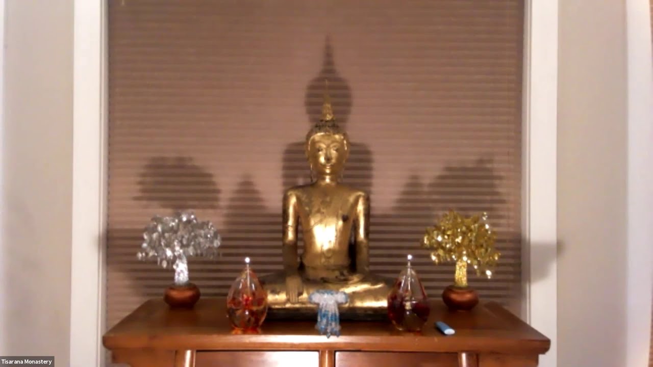 Ajahn Viradhammo Dhamma @ Zoom 19 December 2020 - YouTube
