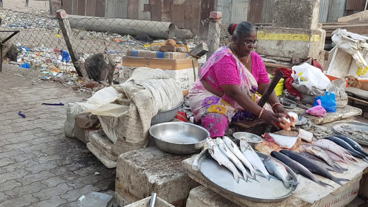 NAVSARI FISH VENDORS - YouTube