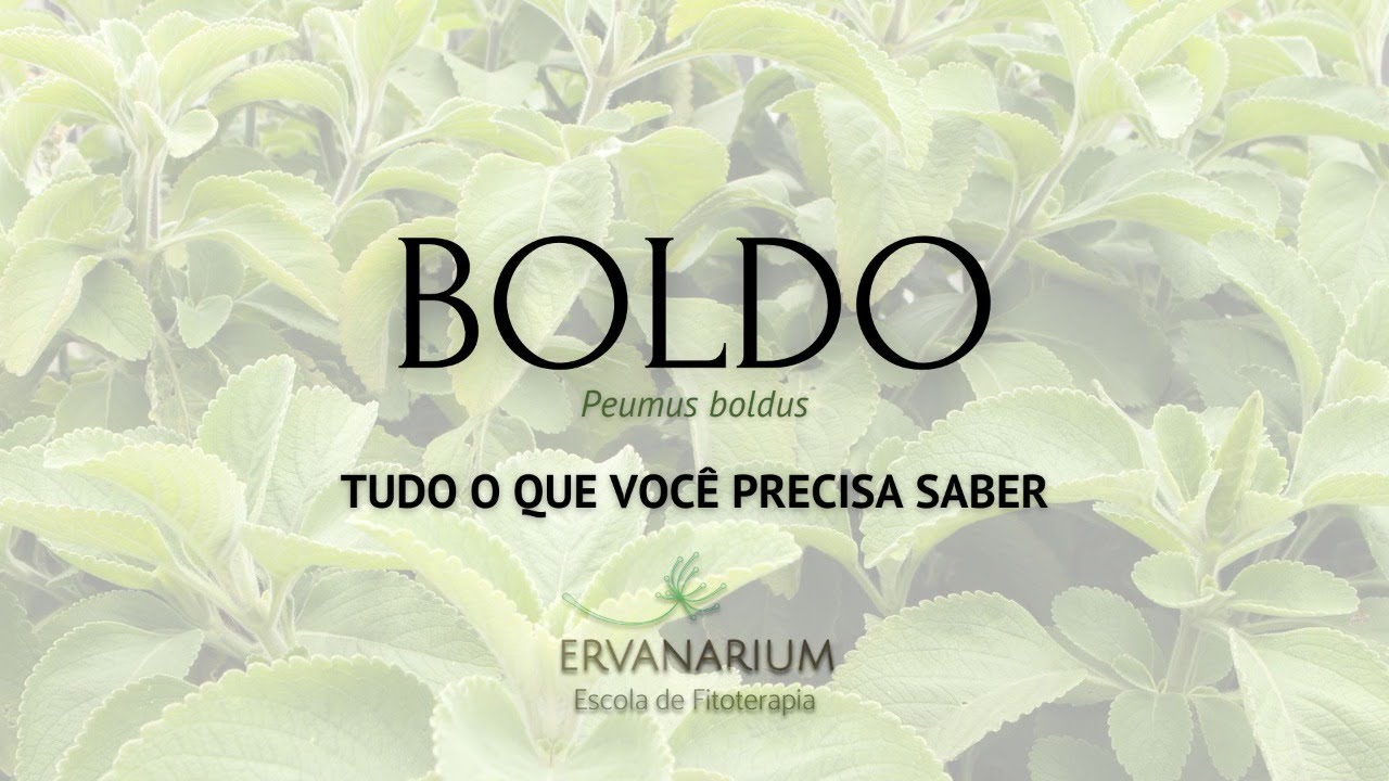 Boldo - Tudo o que Você Precisa Saber - YouTube