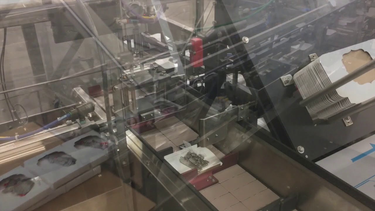 Econocorp Spartan Cartoner with Bucket Conveyor & Infeed packaging ...