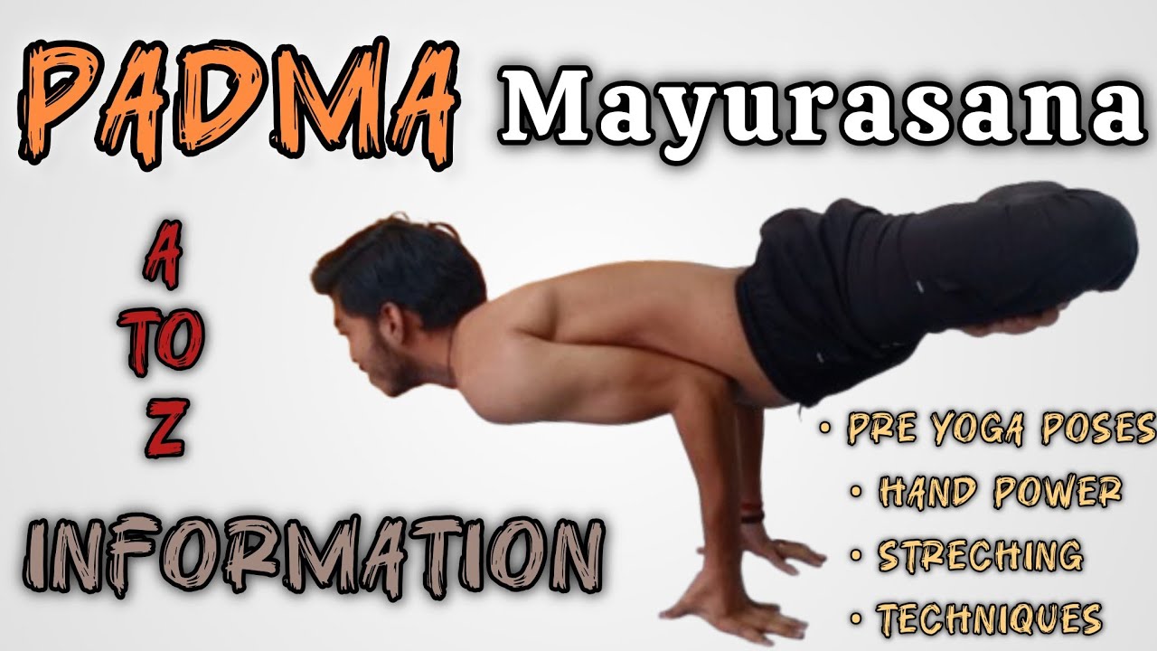 How to Master Padma Mayurasana(Lotus Peacock Pose) with Easy Method | A ...