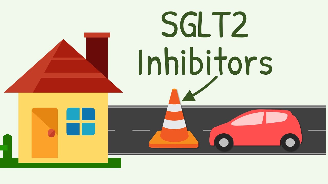 SGLT2 Inhibitors Mechanism of Action - YouTube