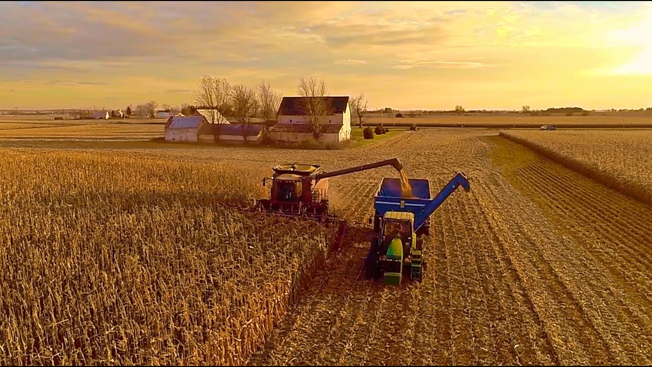 Fall Harvest, Witmer Precision Services, Mt. Morris, IL - YouTube