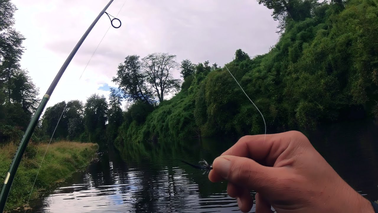 Truchas a micro streamer con caña de spinning - YouTube