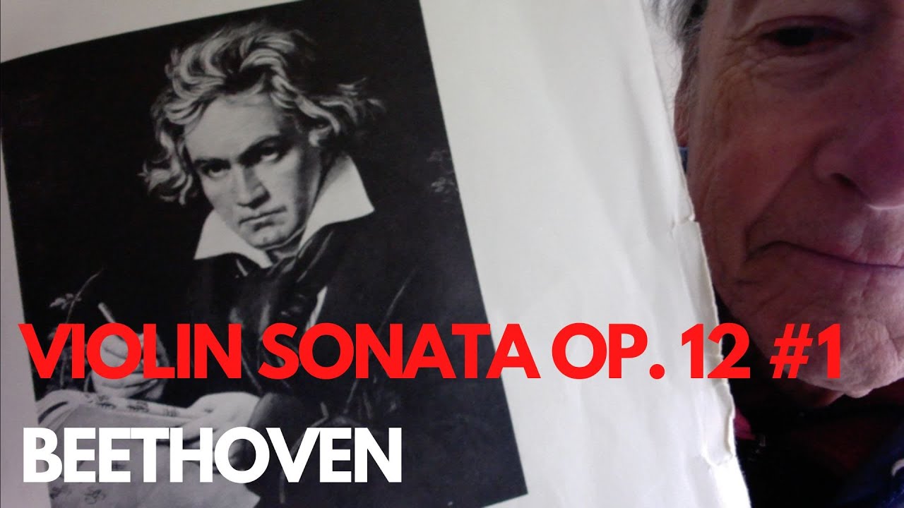 Beethoven Violin Sonata D major op. 12 #1 2nd movement - YouTube