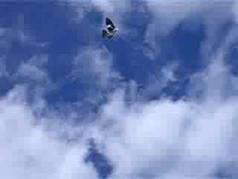 Ornithopter mechanical flying bird from www.intellikid.com - YouTube