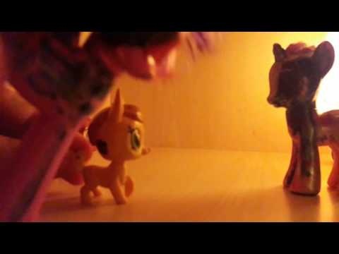 Korku evi / Harika miniş videoları