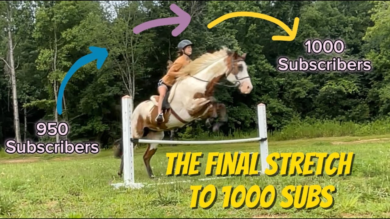 THE FINAL STRETCH. - YouTube