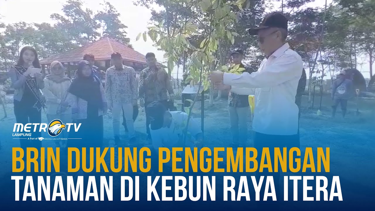 BRIN DUKUNG PENGEMBANGAN KONSERVASI TANAMAN DI KEBUN RAYA ITERA - YouTube