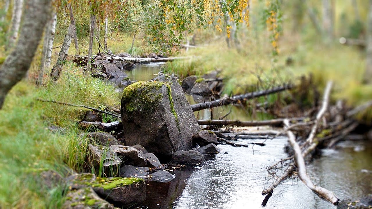 Autumn hunting - YouTube