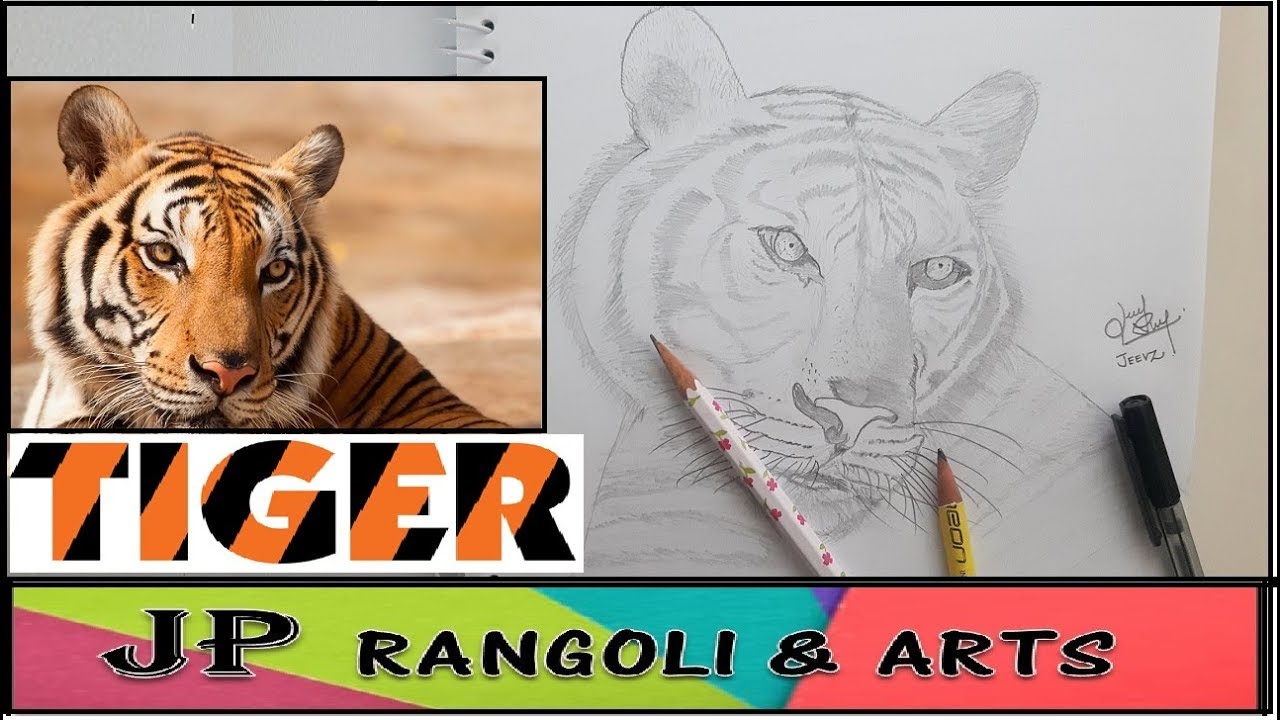 How to draw tiger | Realistic Tiger - Easy pencil shading drawing - YouTube