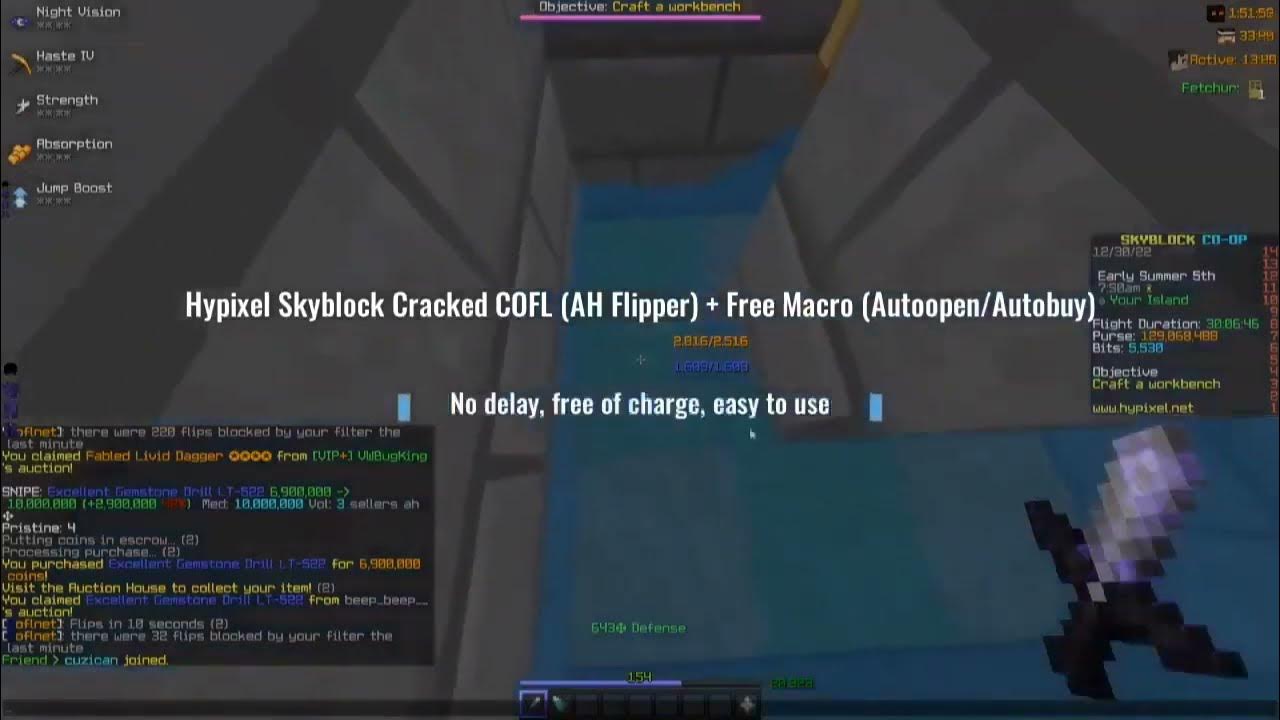 Hypixel Skyblock COFL auto flipper cracked 1B+ PER DAY - YouTube