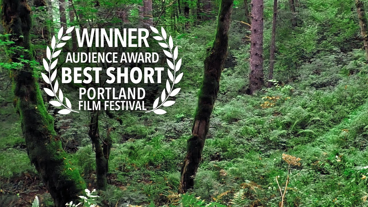 "Forest Born" teaser trailer - YouTube