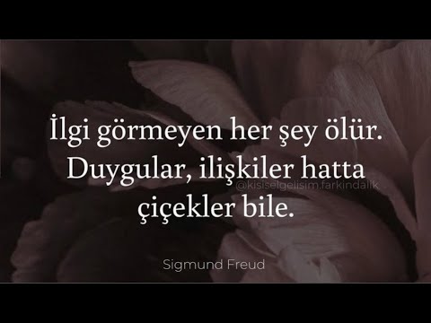 Beklersen, Sadece Sana Geleni Alırsın; Ama Eğer Gidersen, İstediğin Her Şeyi | Düşündüren Sözler