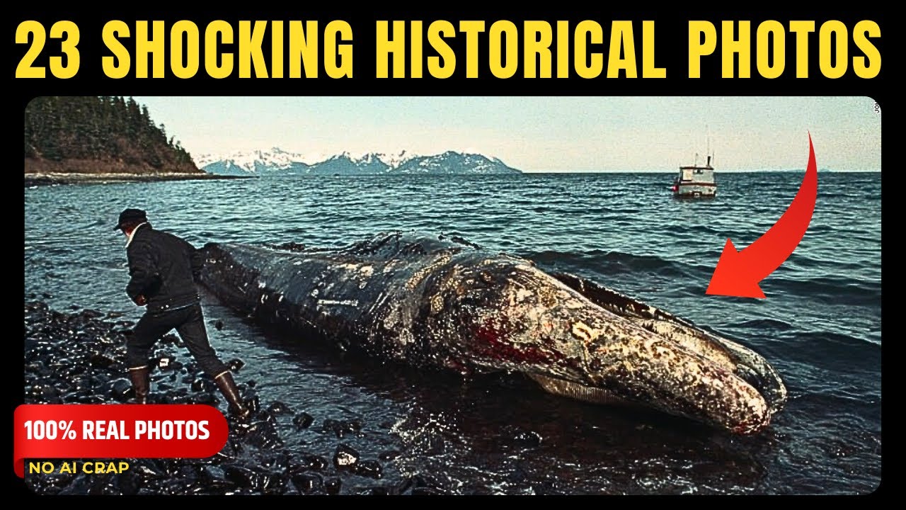 23 Shocking Historical Photos You Need to See! - YouTube