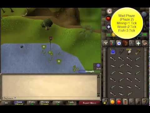 In Depth Explanation Of The Tick System - YouTube