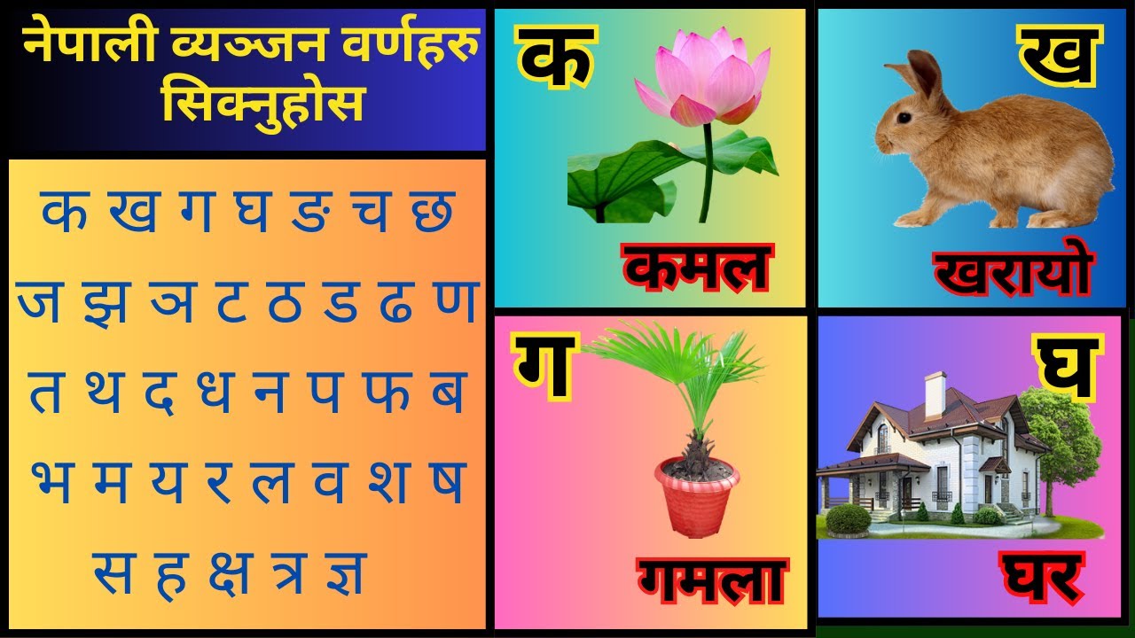 k bata kamal, kha kharayo (क बाट कमल, ख खरायो, ग बाट गाई) नेपाली ...