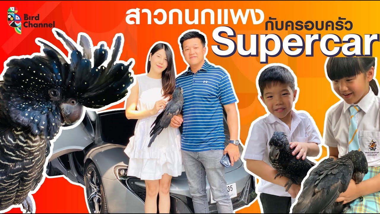 ยินดีต้อนรับครอบครัวคุณจีนคุณคิมสู่ Birdchannel Family -โรงเรียนฝึกนก ...