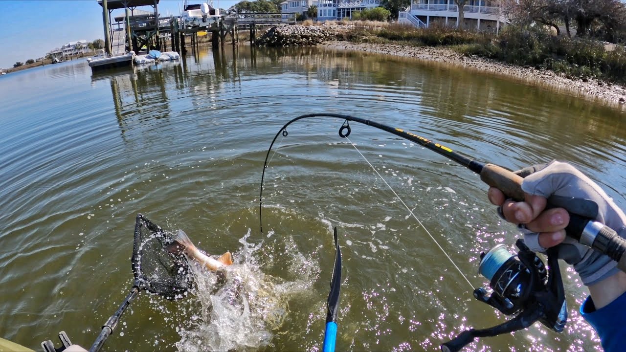 The Fish Under This Dock Were Stacked Up And Hungry - YouTube